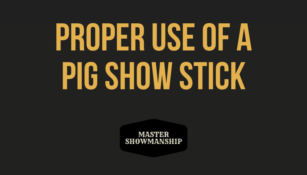 Proper Use of a Pig Show Stick – Master Showmanship