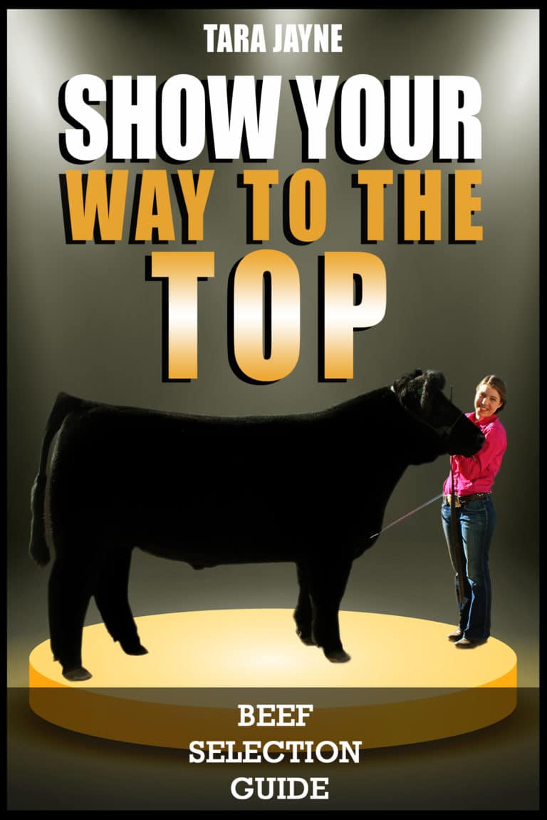 Free Beef Showmanship Resources – Master Showmanship