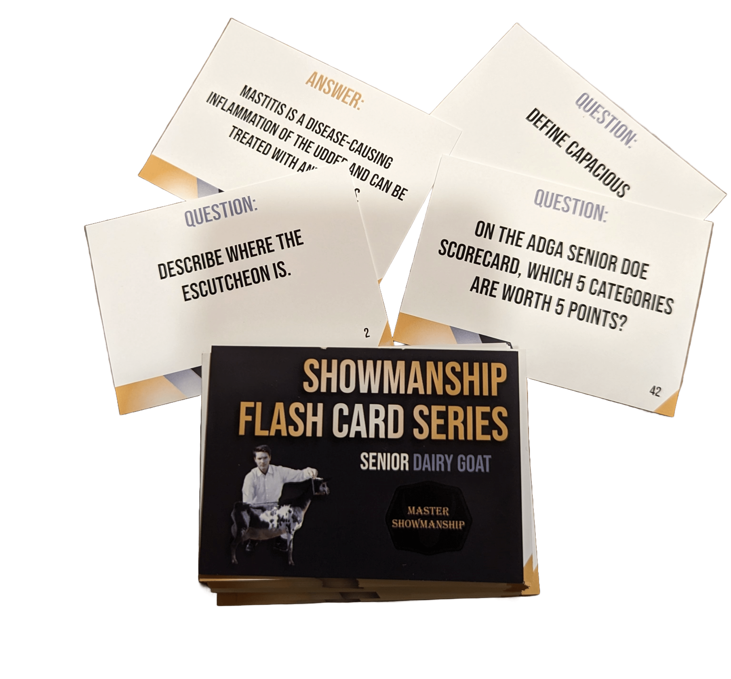 Showmanship Flash Card Series: Senior Dairy Goat – Master Showmanship