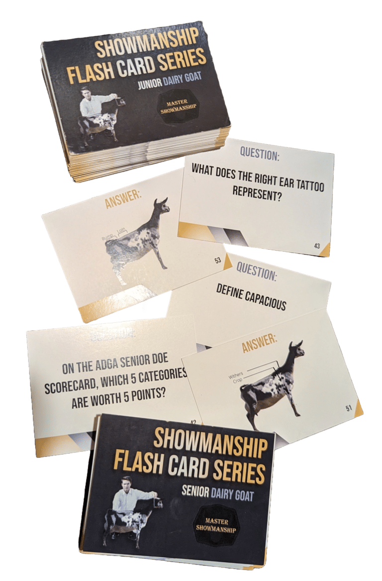 Shop – Master Showmanship