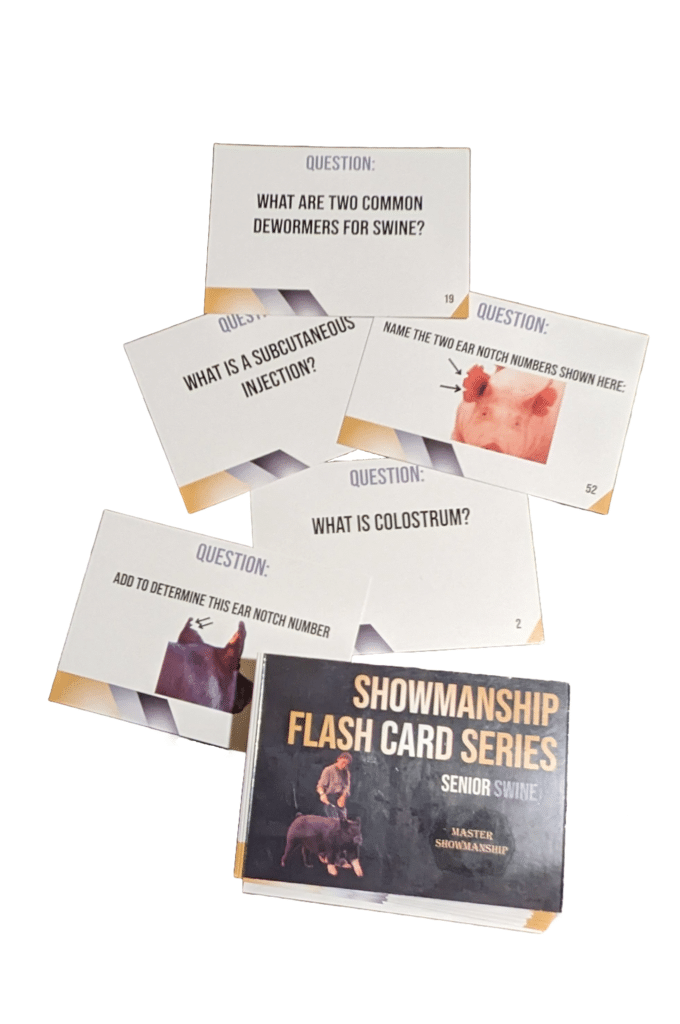 Showmanship Flash Card Series: Senior Swine – Master Showmanship