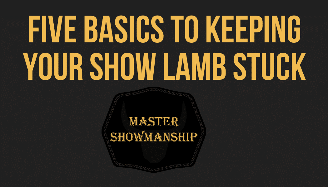 Master Showmanship – Livestock Showmanship Training Resources