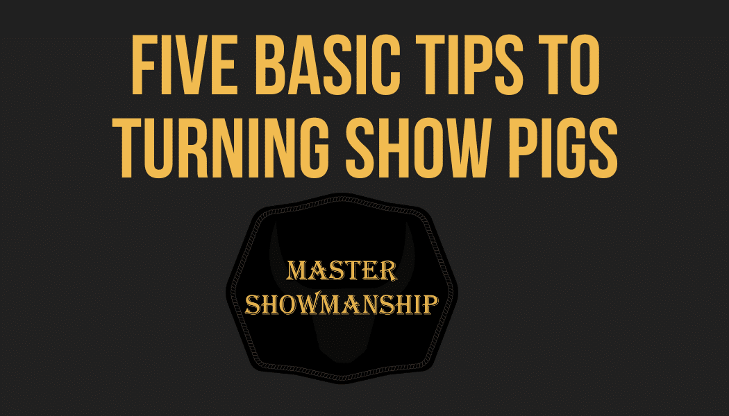 Master Showmanship – Livestock Showmanship Training Resources