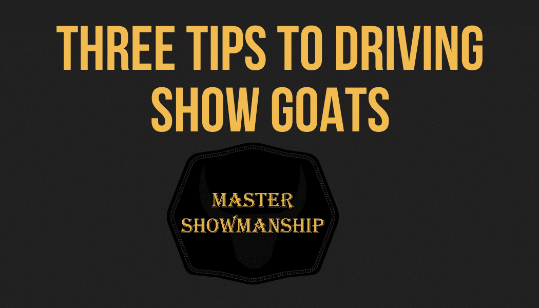 Master Showmanship – Livestock Showmanship Training Resources
