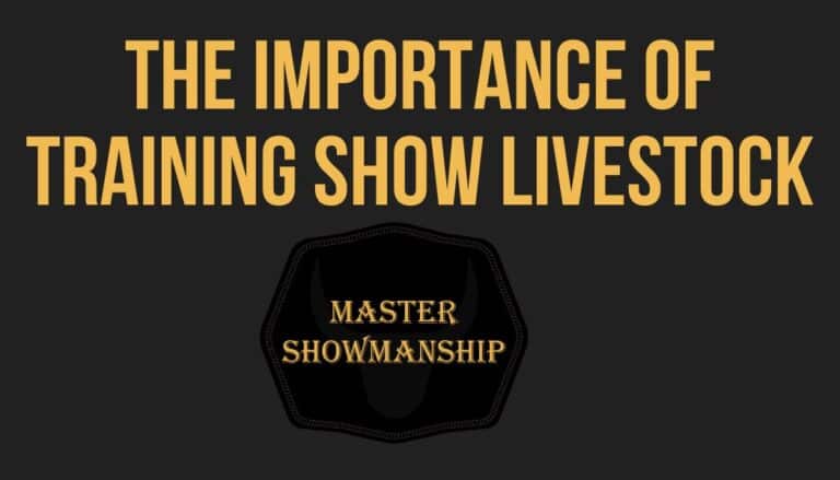 Master Showmanship Livestock Showmanship Training Resources