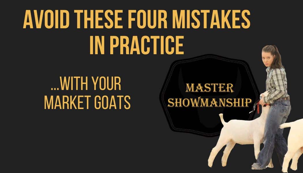 Master Showmanship – Livestock Showmanship Training Resources
