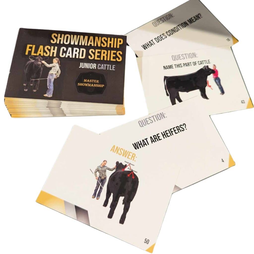 Showmanship Flash Card Series: Junior Cattle – Master Showmanship