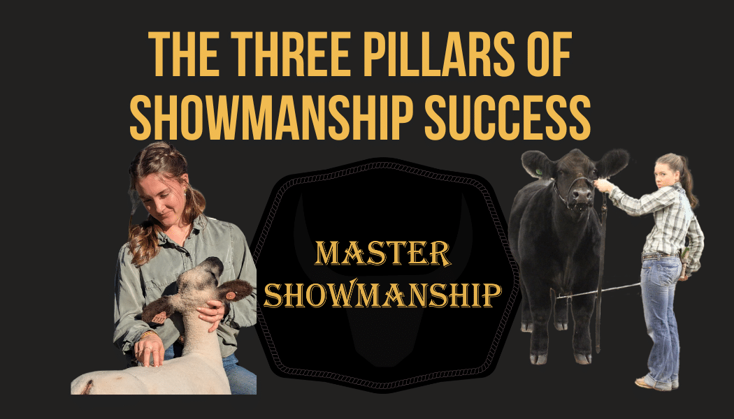 The Three Pillars of Showmanship Success: Training, Knowledge, and ...