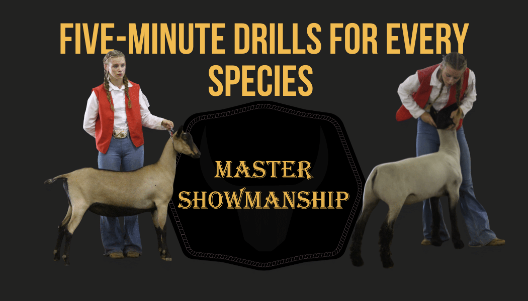 Five-Minute Drills for Every Species – Master Showmanship
